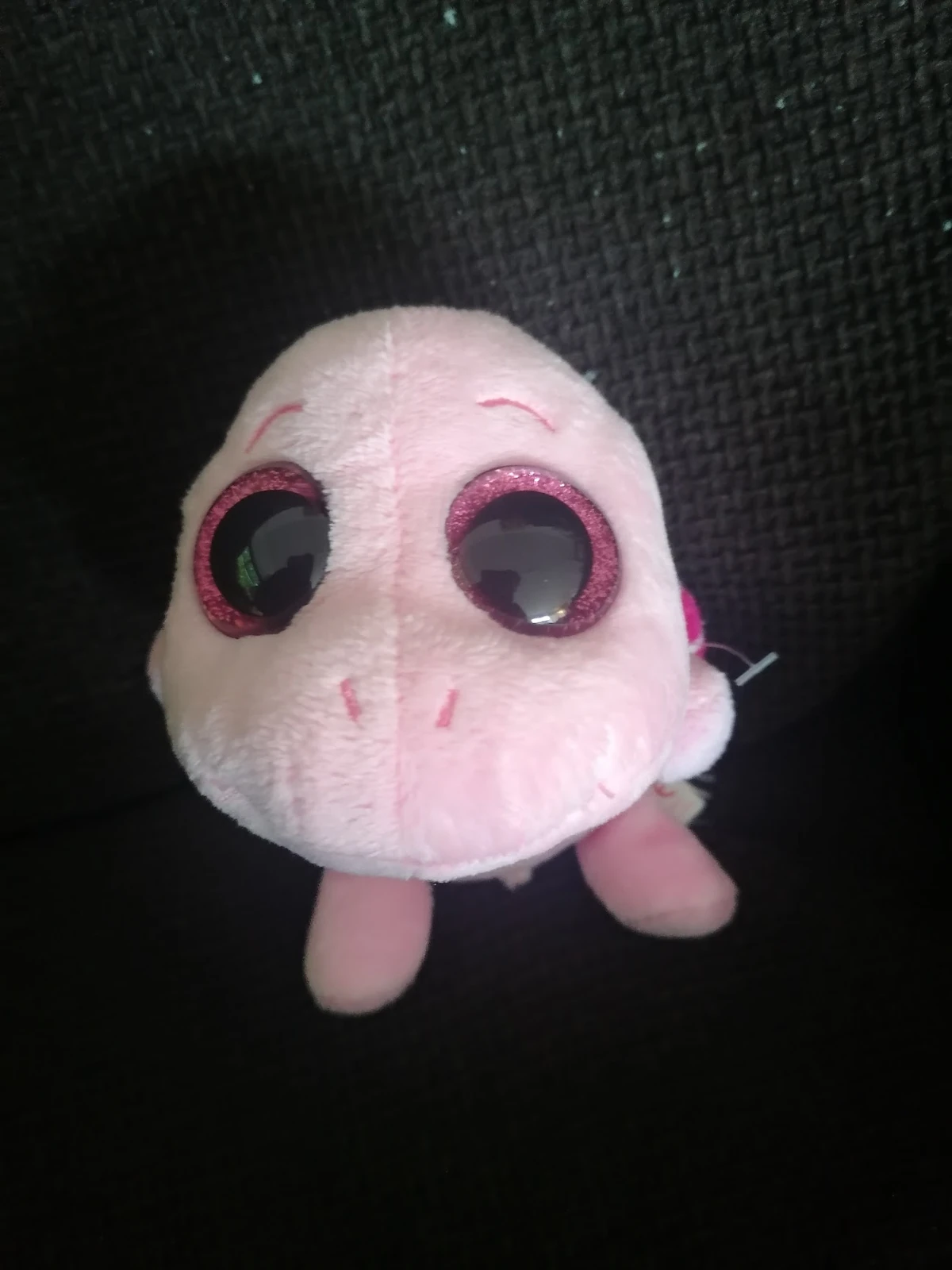 Melissa | Penguin and Beeky Show Wiki | Fandom