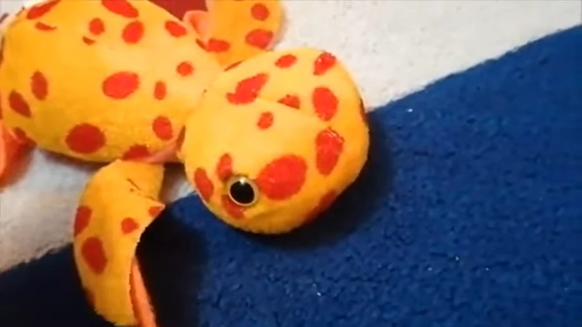 Sienna | Penguin and Beeky Show Wiki | Fandom