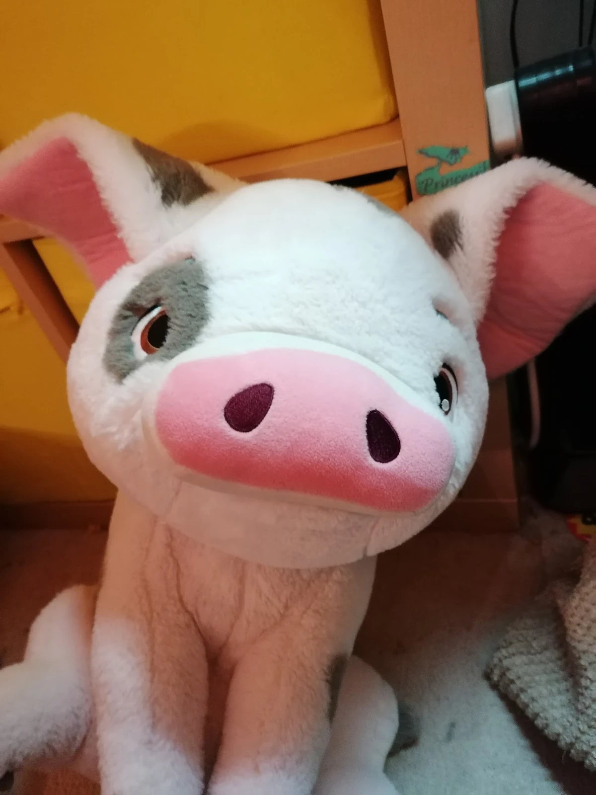 Miss Nancy | Penguin and Beeky Show Wiki | Fandom