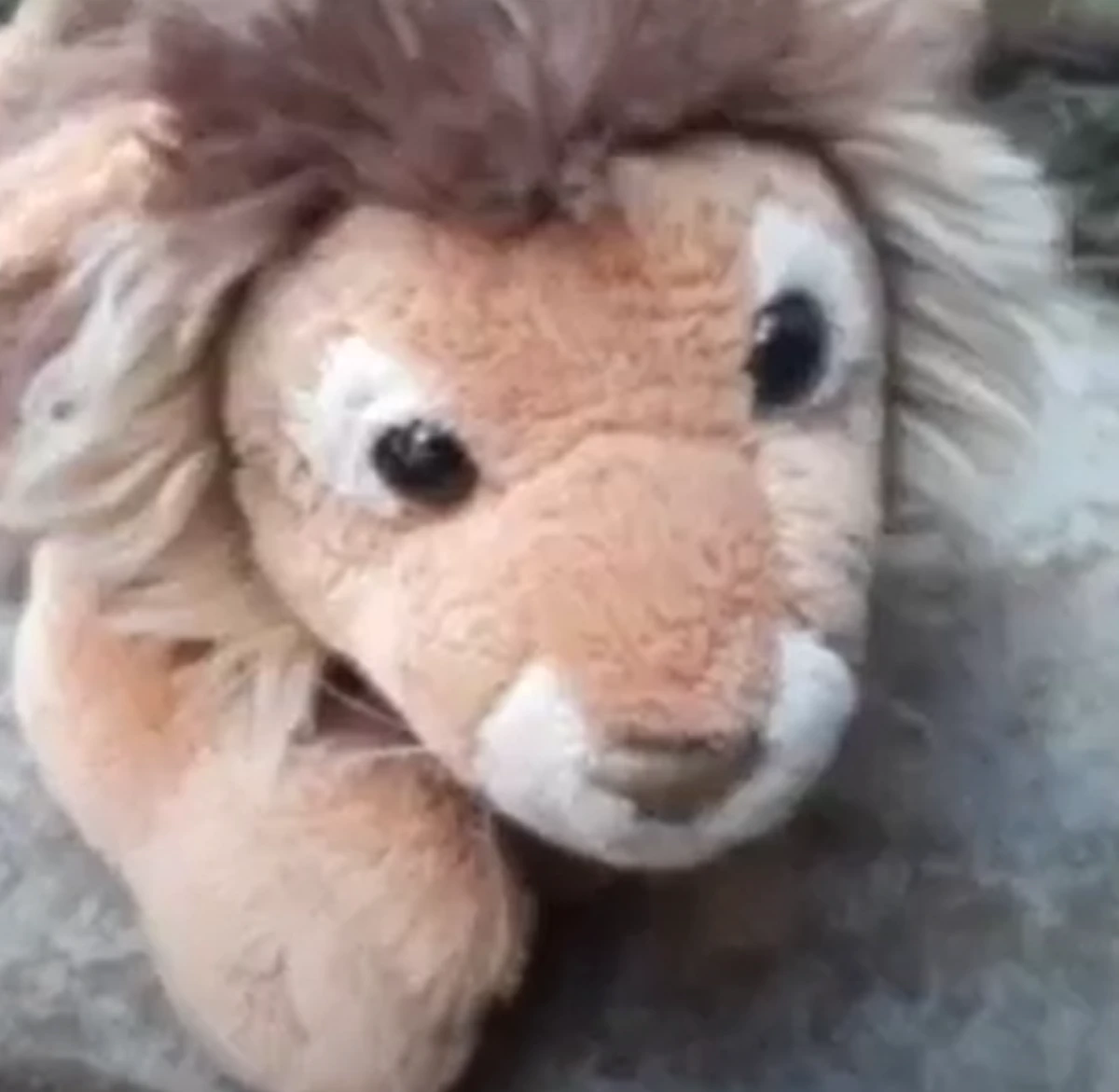 Rory Stuart | Penguin and Beeky Show Wiki | Fandom