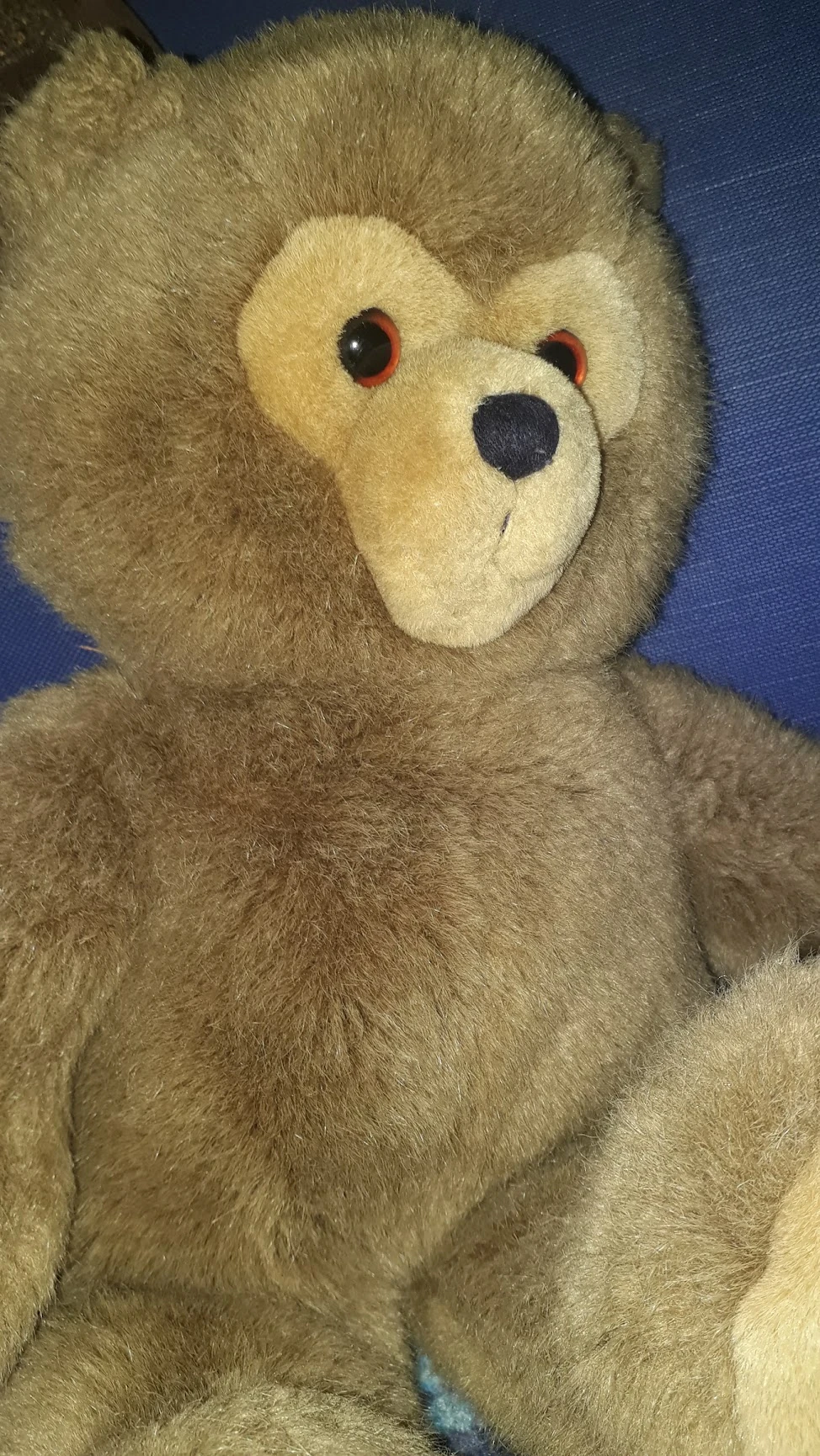 Reuben Armani | Penguin and Beeky Show Wiki | Fandom