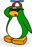 Rookie | Penguinloungecp Wiki | Fandom