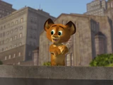Category:All Hail King Julien Characters | Madagascar Wiki | Fandom
