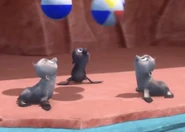 Madagascar: A Little Wild | Madagascar Wiki | Fandom