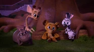 Madagascar: A Little Wild | Madagascar Wiki | Fandom