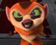 Clover/Photos | Madagascar Wiki | Fandom