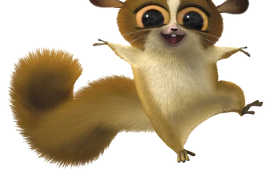 madagascar bear name