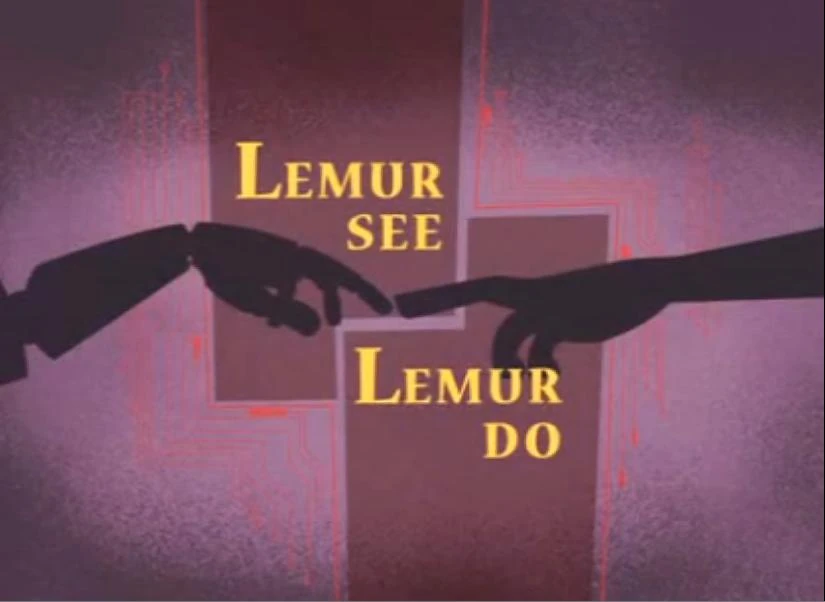 Lemur See, Lemur Do | Madagascar Wiki | Fandom