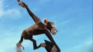 The Wild Chimps | Madagascar Wiki | Fandom