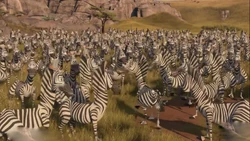 Madagascar 2 Zebras