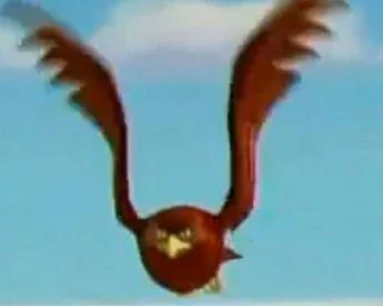 Falcon | Madagascar Wiki | Fandom