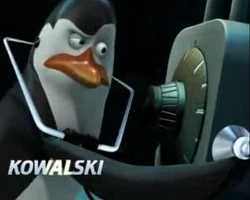 Madagascar 3 Kowalski