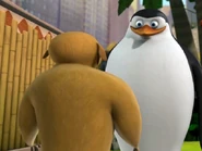 Mort/Photos | Madagascar Wiki | Fandom