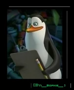 Kowalski/Photos | Madagascar Wiki | Fandom