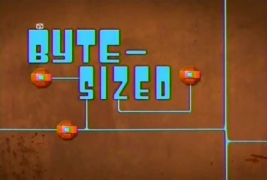 Byte-Sized/Transcript | Madagascar Wiki | Fandom