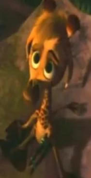 Madagascar Melman Baby