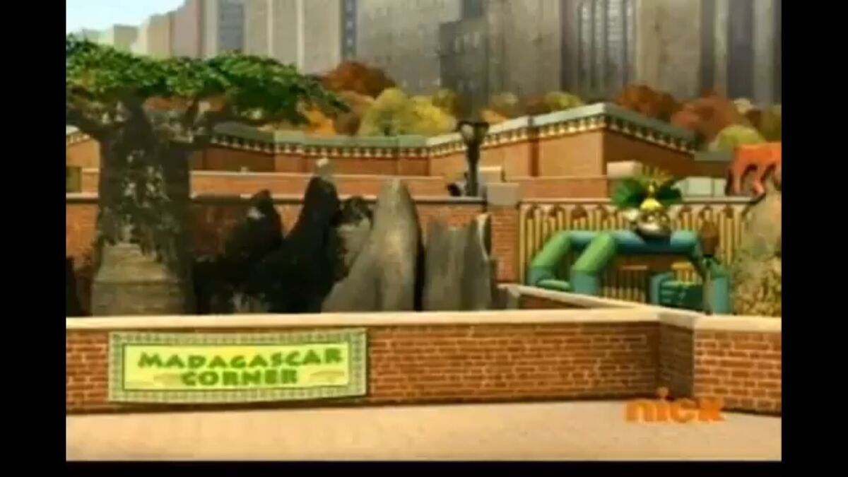 Fossa Habitat | Madagascar Wiki | Fandom