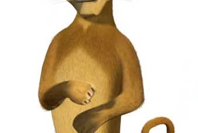 madagascar 2 makunga