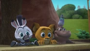 Madagascar: A Little Wild | Madagascar Wiki | Fandom