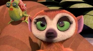 Clover/Photos | Madagascar Wiki | Fandom