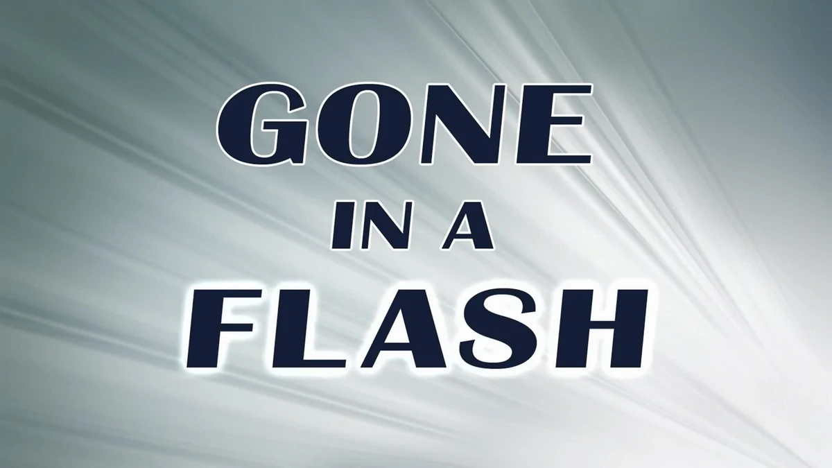 Gone in a Flash/Transcript | Madagascar Wiki | Fandom