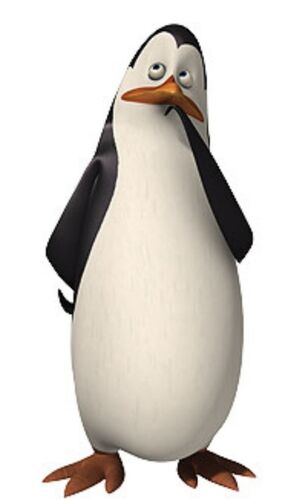 Kowalski | Madagascar Wiki | Fandom
