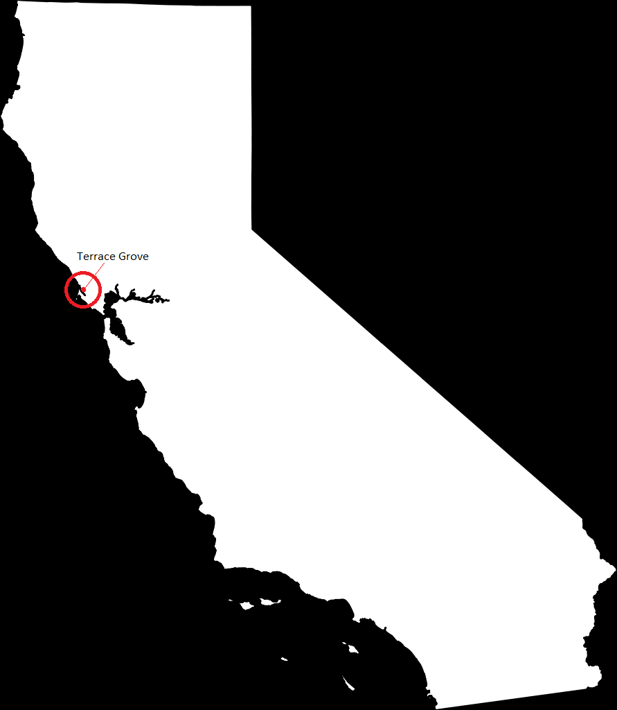 Terrace Grove | Story Wiki | Fandom
