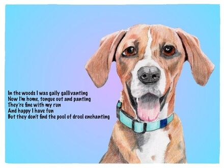 Doggerel | Penny's poetry pages Wiki | Fandom