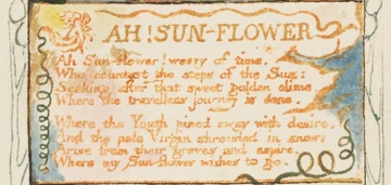 Ah! Sun-flower / Blake | Penny's poetry pages Wiki | Fandom