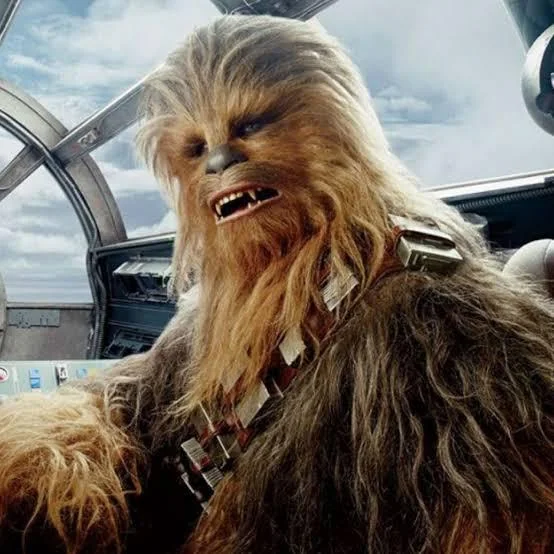 Chewbacca | People and characters Wiki | Fandom