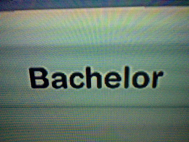 Bachelor Family | People Family Wikia | Fandom