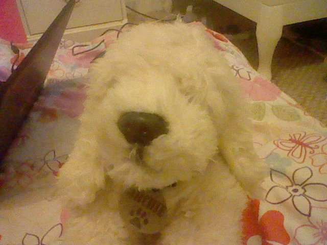 Archie | People Family Wikia | Fandom