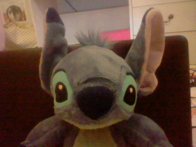 Stitch | People Family Wikia | Fandom