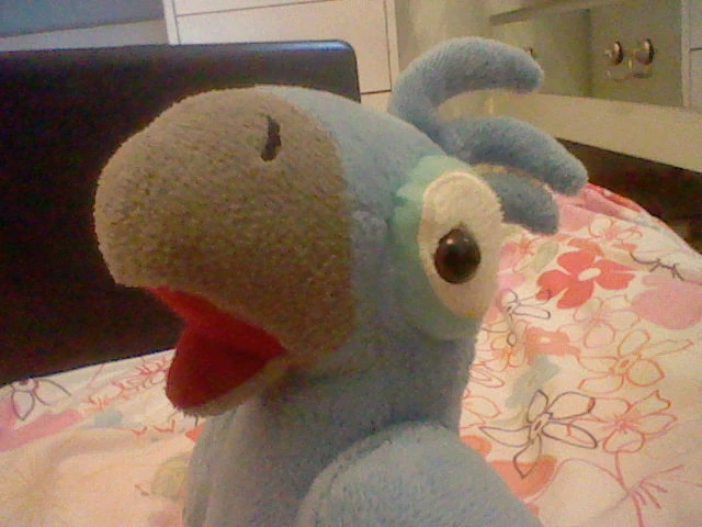 Rio | People Family Wikia | Fandom