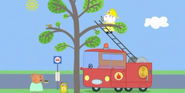Tiddles the Tortoise | Peppa Pig Wiki | Fandom