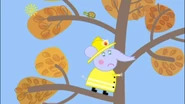 Tiddles the Tortoise | Peppa Pig Wiki | Fandom
