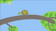 Tiddles the Tortoise | Peppa Pig Wiki | Fandom