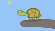 Tiddles the Tortoise | Peppa Pig Wiki | Fandom