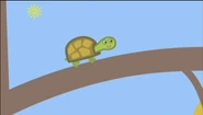 Tiddles the Tortoise | Peppa Pig Wiki | Fandom