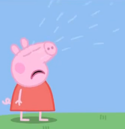 Sad Crying Pig Cartoon