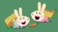 Rosie and Robbie Rabbit/Gallery | Peppa Pig Wiki | Fandom