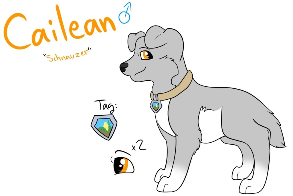 Cailean | Pepperthewaterrescuepup Wiki | Fandom