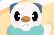 Oshawott (Pokémon) | Perchance Chat Wiki | Fandom
