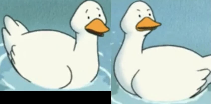 Ducks | Percy the Park Keeper Wiki | Fandom