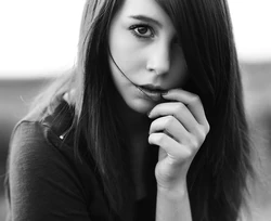 Raven Owls | Percy Jackson Fanfiction Wiki | Fandom