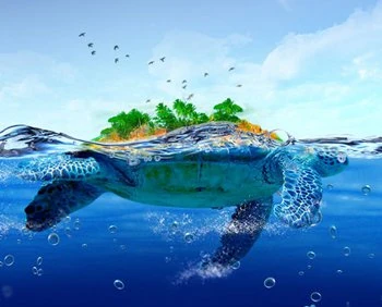 Asp-Turtle | Percy Jackson Fanfiction Wiki | Fandom