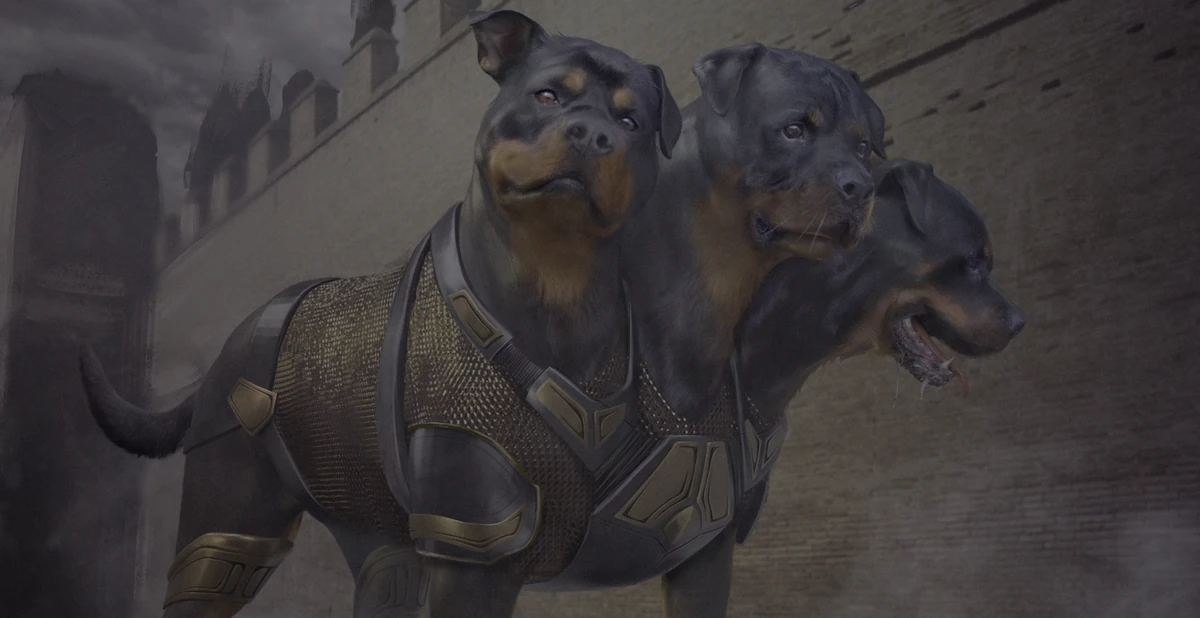 Cerbero | Wiki Campamento Mestizo | Fandom