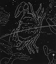 Carcinos | Wiki Campamento Mestizo | Fandom