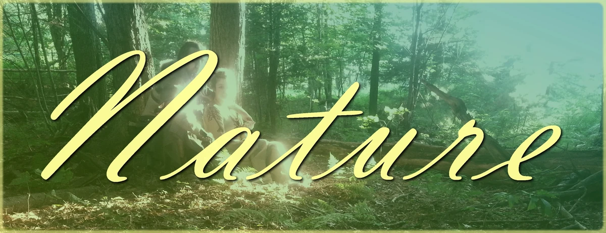 Catégorie:Nature | Wiki Perdition | Fandom