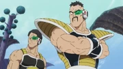 Nappa | PERFECT POWER LEVEL LIST Wiki | Fandom
